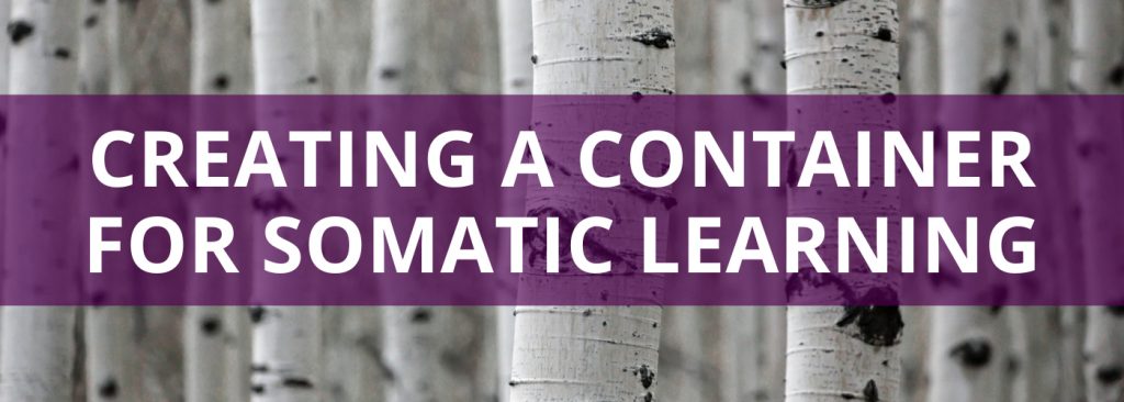 Creating a Container for Somatic Learning - ISMETA