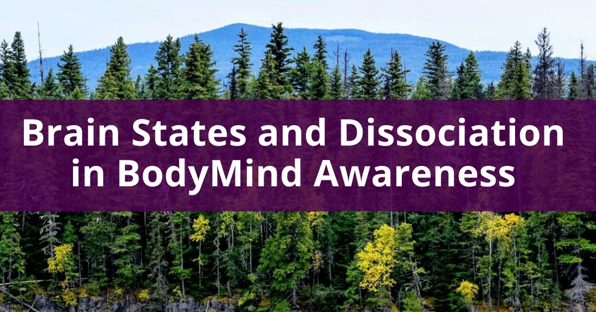 Brain States and Dissociation in BodyMind Awareness - ISMETA