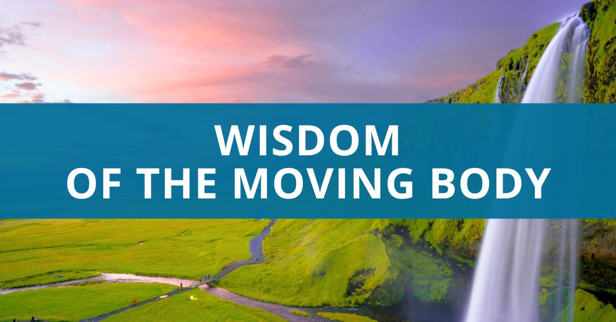 Wisdom of the Moving Body - ISMETA