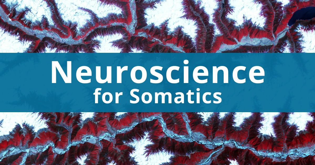 Neuroscience for Somatics - ISMETA