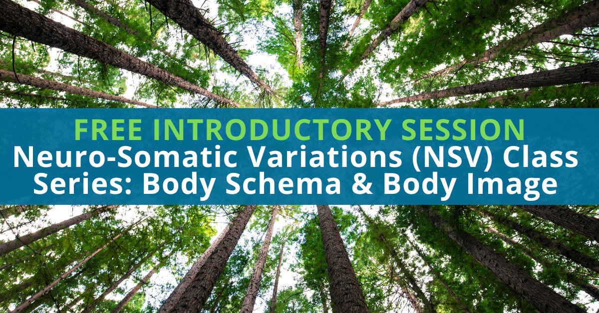 Free Introduction to Neuro-Somatic Variations (NSV) Class Series: Body ...