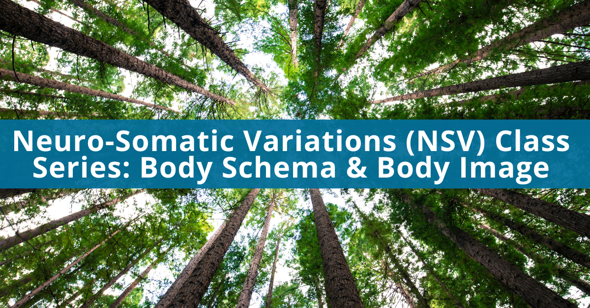 Neuro-Somatic Variations (NSV) Class Series Body Schema & Body Image ...