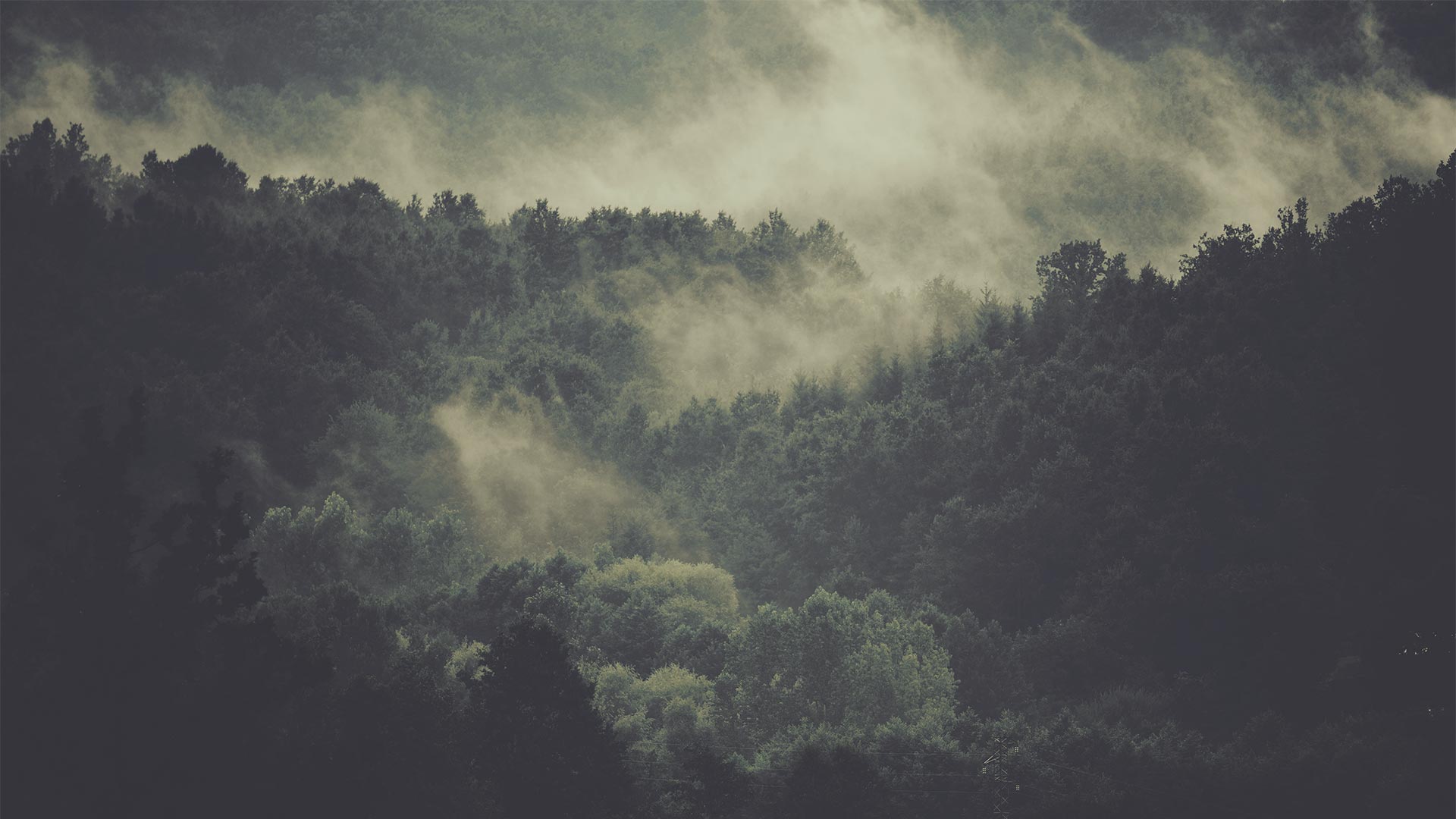 Home - ISMETA